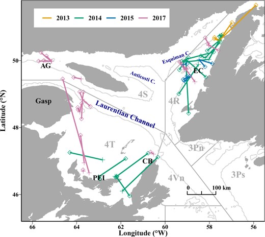 Stock-scale Electronic Tracking of Atlantic Halibut Reveals Summer Site ...