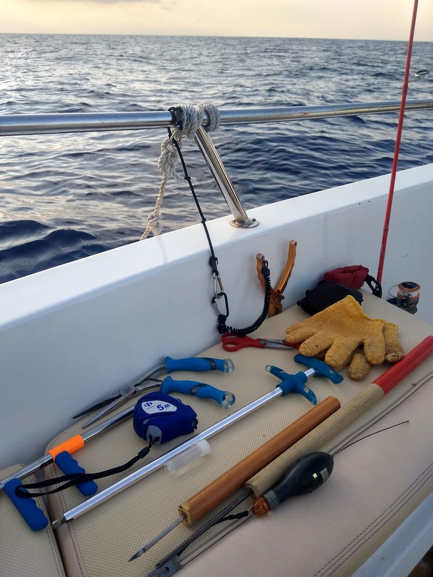 9th MiniPAT Ready to Deploy - Wildlife Computers Inc.