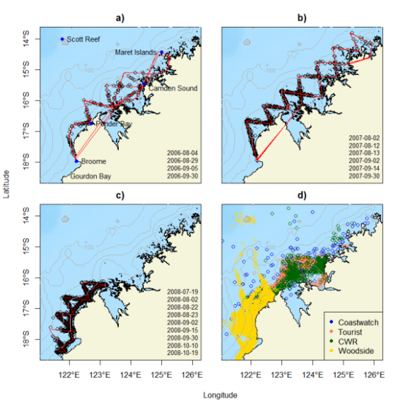 Modelling the Movement and Spatial Distribution of Humpback Whales in ...