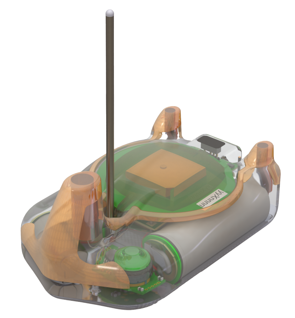 The SPLASH10-F-427 Teenage Turtle Tag is No Mutant - Wildlife Computers ...