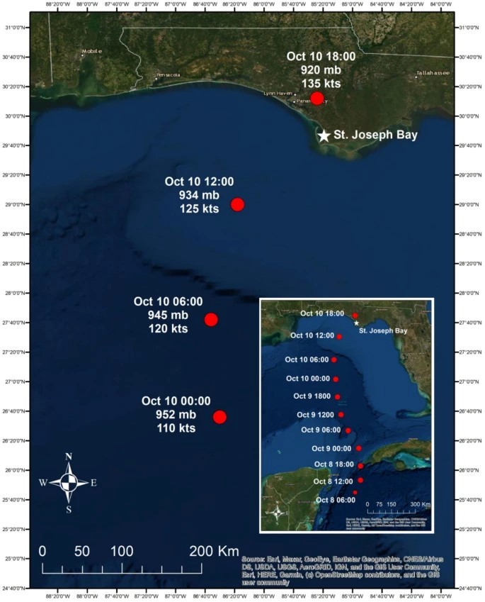 Movements of Marine and Estuarine Turtles During Hurricane Michael ...