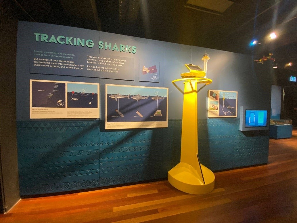 New Display at Australian Museum - Wildlife Computers Inc.